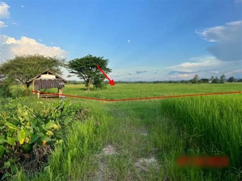 ขายที่ดินว่างเปล่า อำเภอห้างฉัตร ลำปาง ที่ดินร้อยแปด คอม