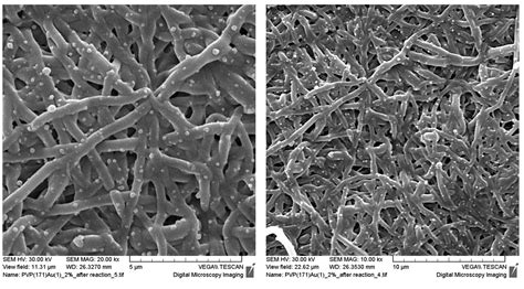 Evaluation Of Pvpau Nanocomposite Fibers As Heterogeneous Catalysts In Indole Synthesis