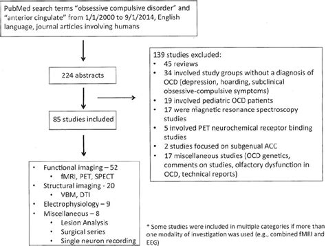Cingulate Cortex Ocd