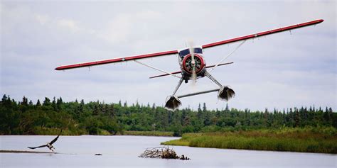 Where To Find The Best King Salmon Fishing In Alaska