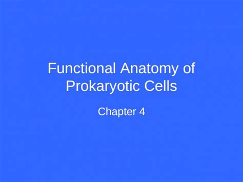 PPT Functional Anatomy Of Prokaryotic Cells Chapter DOKUMEN TIPS