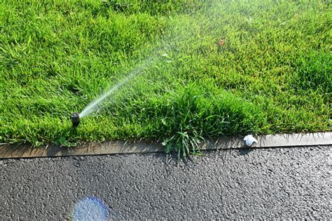 자동 잔디 급수 자동 잔디 급수 시스템 자동 잔디 급수 워터 제트 자동 잔디 급수 녹색 잔디밭 밝고 화창한 날에 물 튀김 0명에 대한 스톡 사진 및 기타 이미지 Istock