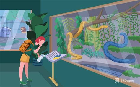 Trabajos de programación Python Lenguaje Python al desnudo