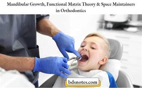 Mandibular Growth Functional Matrix Theory And Space Maintainers In Orthodontics Bds Notes