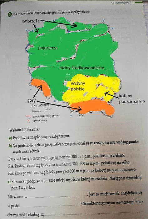 NA TERAZ LUDZIE ZARAZ MAM ZDALNE Brainly Pl