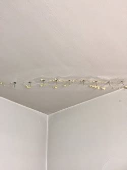 竹北溝背高壓灌注 專線0916 317058 劉先生