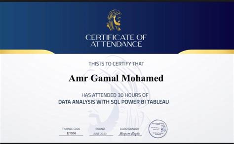 Completed Data Analysis Course With Sql Tableau And Power Bi Amr