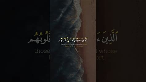 الَّذِينَ آمَنُوا وَتَطْمَئِنُّ قُلُوبُهُم بِذِكْرِ اللَّهِ القارئ