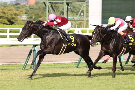 每日賽馬晚報（2023年10月2日），🇦🇺女將一級賽閃耀蘭域馬場，🇯🇵大震撼子嗣平週日寧靜紀錄 Flameracing