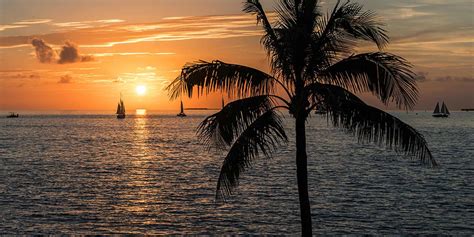 2 Hour Sunset Tiki Boat Cruise Tripshock