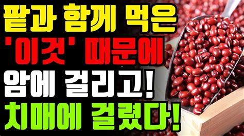 팥과 절대로 함께 먹지마세요 암과 치매에 걸릴 수 있습니다 팥 함께 먹으면 보약보다 좋은 3가지 만성 염증 독소 싹 빼주는 최고의 레시피 팥 단팥 동지 팥죽 효능 건강