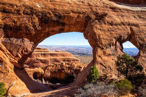 Partition Arch Earth Trekkers