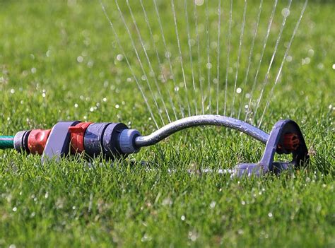 Watering New Sod Green Prairie Turf