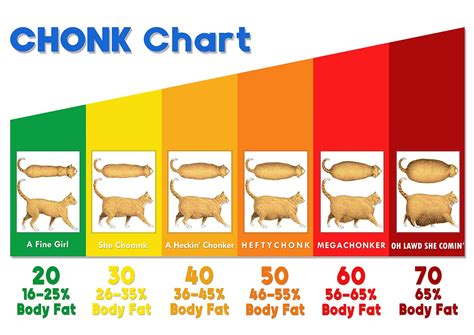 The Chonk Chart Female Cat Weight Gain Poster Veterinary Wall Art