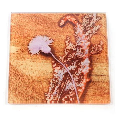 Yellow Grass Sympathy Botanic Style Glass Coaster Gillian Arnold