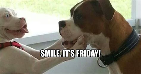 73 Funny Happy Friday Memes That Will Make You Say T