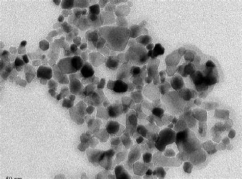 Tem Image Of Dispersed Tio2 Nanoparticles In Water From Duangthongsuk