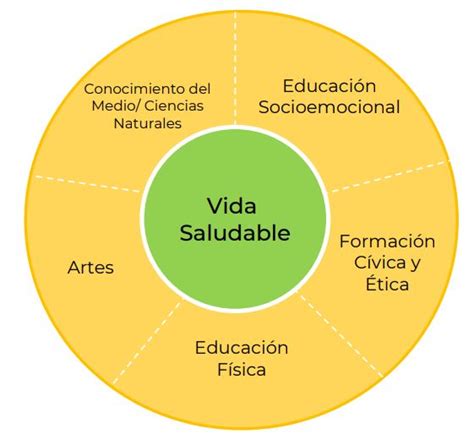 Estas Son Las Dos Nuevas Materias Que Se Impartirán En El Ciclo Escolar
