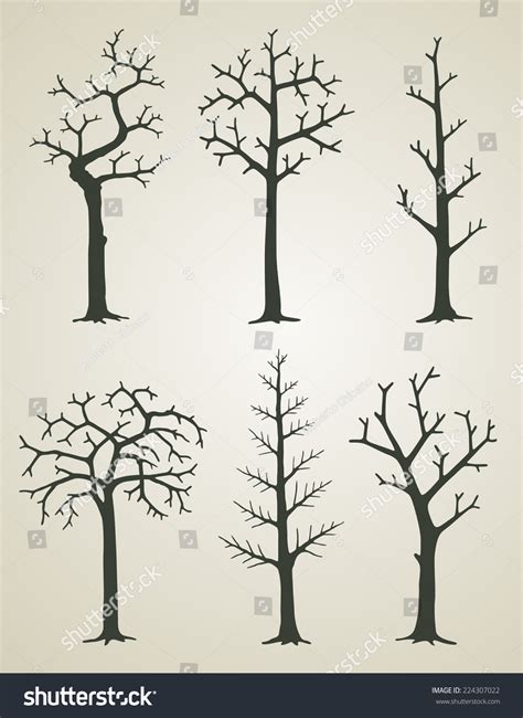 Vector Illustration Of Trees Without Leaves Shutterstock