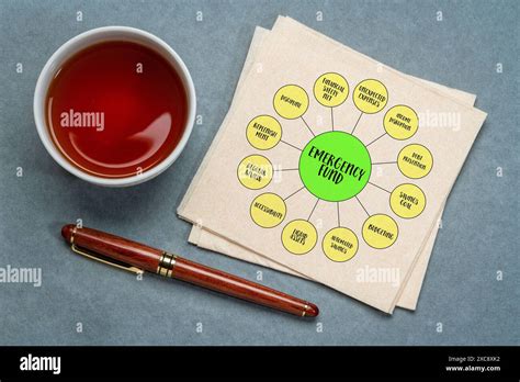 Emergency Fund Financial Preparedness And Security Concept Diagram