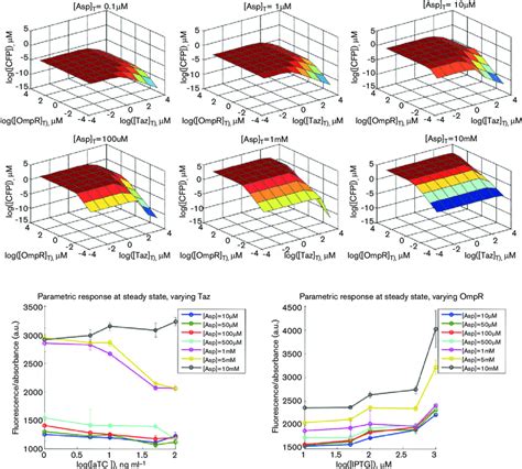 simulation top and middle rows and experimental bottom row results