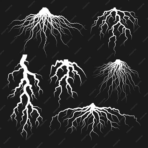 Premium Vector Various Realistic Tree Or Shrub Roots Parts Of Plant