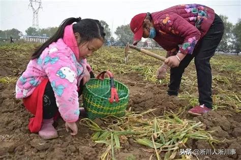 農村務工人心聲：在家養不了你，在外愛不了你 每日頭條