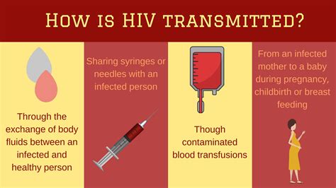 Hiv Transmission Fluids