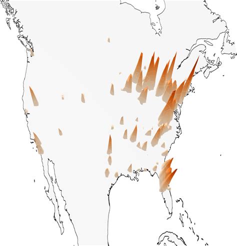 Around The World In Timesteps A Generative Approach To Global