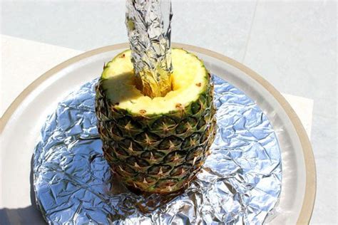 First Pineapple Palm Tree Fruit Pineapple Palm Tree Palm Trees