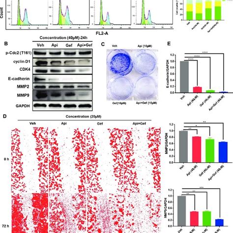 Apigenin Gefitinib Combination Decreases Intracellular Signaling