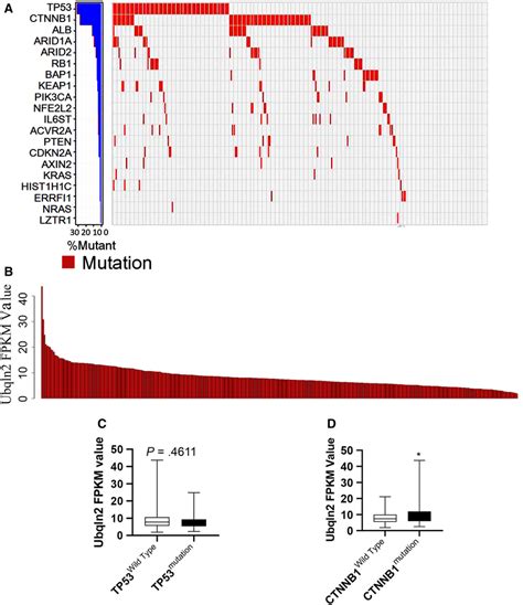 The Genomic Landscape Of Hcc And Mutational Signatures A The