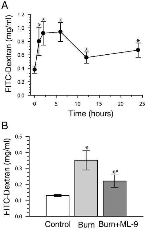 Mlck Inhibition With Ml 9 Decreases The Burninduced Increase Of