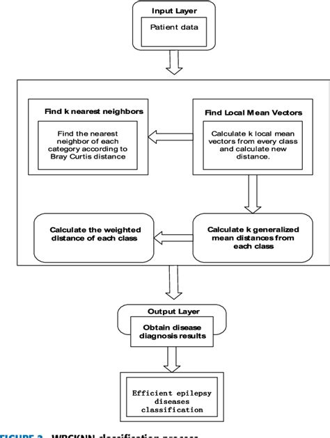 Figure 1 From An Improved Knn Classifier For Epilepsy Diagnosis Semantic Scholar