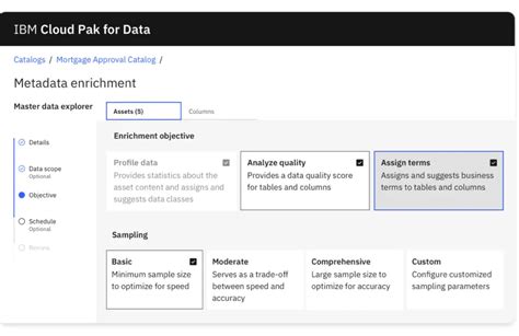 Ibm Cloud Pak For Data Governance Capabilities