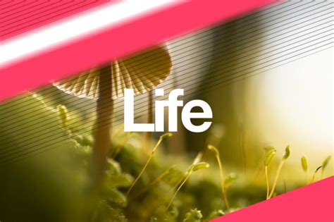 Spliced Angular Slideshow After Effects Template Filtergrade
