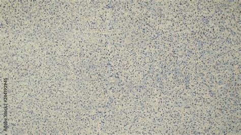 Homogeneous Surface Of Foam Concrete Plaster Abstract Natural Texture For Decoration Banners