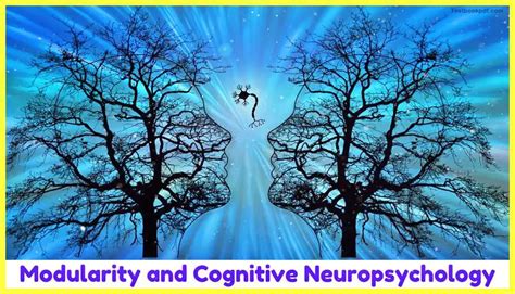 Modularity And Cognitive Neuropsychology