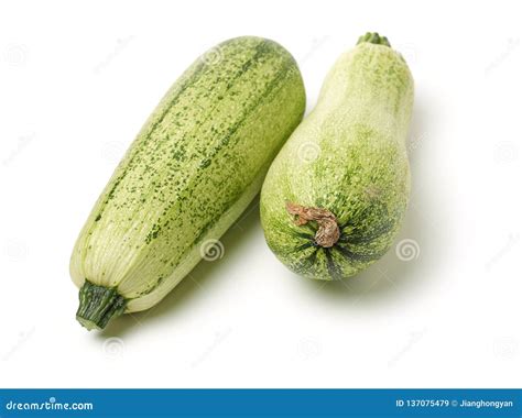 Green Squash Zucchini Stock Image Image Of Gourmet 137075479