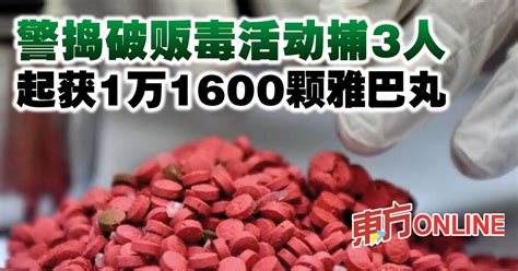 警捣破贩毒活动捕3人 起获1万1600颗雅巴丸