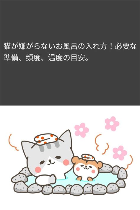 猫が嫌がらないお風呂の入れ方！必要な準備、頻度、温度の目安。 猫 子猫 猫 毛