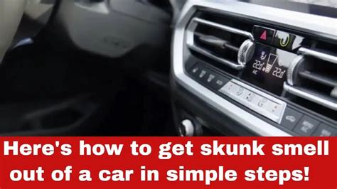 How To Get Skunk Smell Out Of Car In Simple Steps