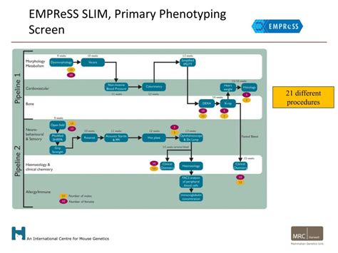 Ppt Mining Phenotype Databases To Identify Mouse Models Of Clinical