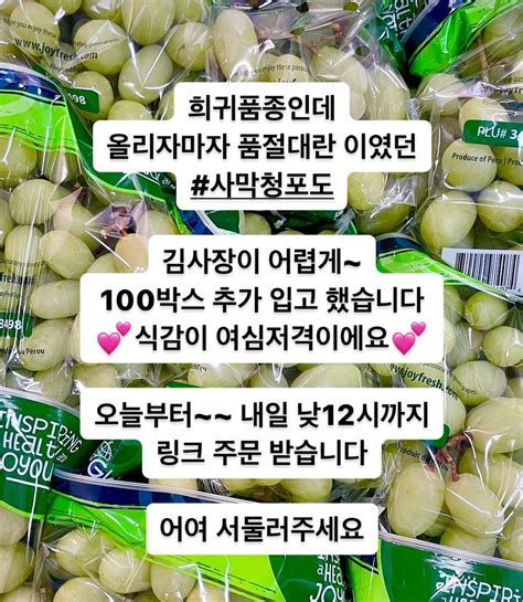 🍑과일집며느리🍑프리미엄 과일 브랜드🍑 과일집며느리 고당도사막 청포도 어머머머 남녀노소 누구나 좋아