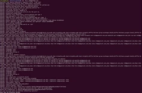 The Authenticity Of Host Cant Be Established Unraveling The Implications