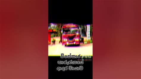 Viral Bus දවසක ￣3￣ ගේමක් ගහපන් උබව ප්‍රතික්ෂේප කරපු උන්ට ඇඩෙන්න