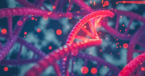 Four Stranded Dna A New Dimension For Cancer Therapy Bluesci
