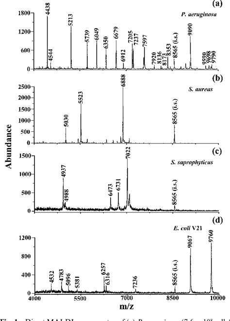 Figure 1 From Identification Of Pseudomonas Aeruginosa Using Functional Magnetic Nanoparticle
