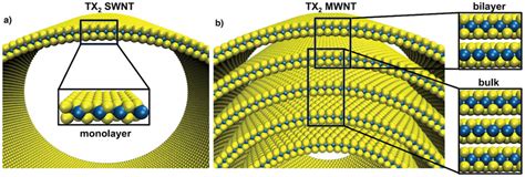 Structure Models Of Tmd Nts A Monolayer Represents Single Walled