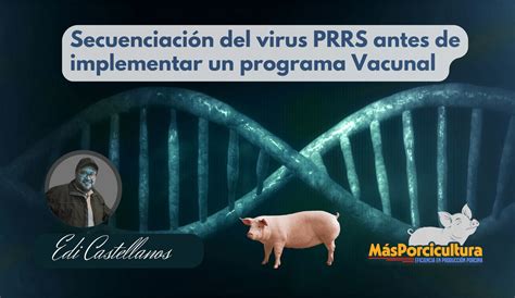 Rinitis Atrófica en Cerdos MasPorcicultura
